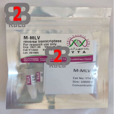 آنزیم MMLV Reverse Transcriptase MMLV - | در بی تو بی کالا